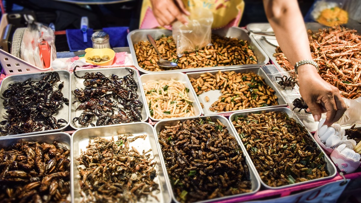 Would You Dare To Eat Bugs In Thailand (Here's Why You Should)